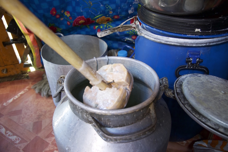 Tsagaan Idee: Discovering Mongolia's Traditional Dairy Products