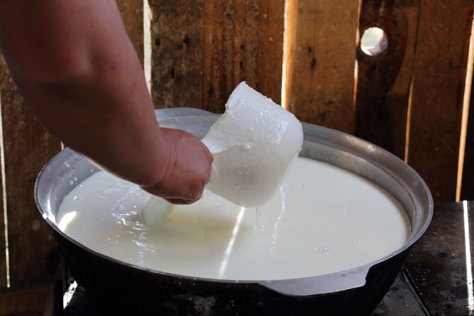 Tsagaan Idee: Discovering Mongolia's Traditional Dairy Products