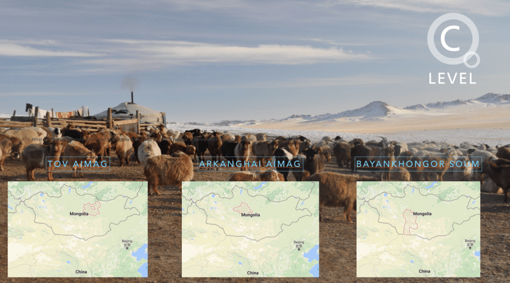 Tree Planting Projects In Mongolia